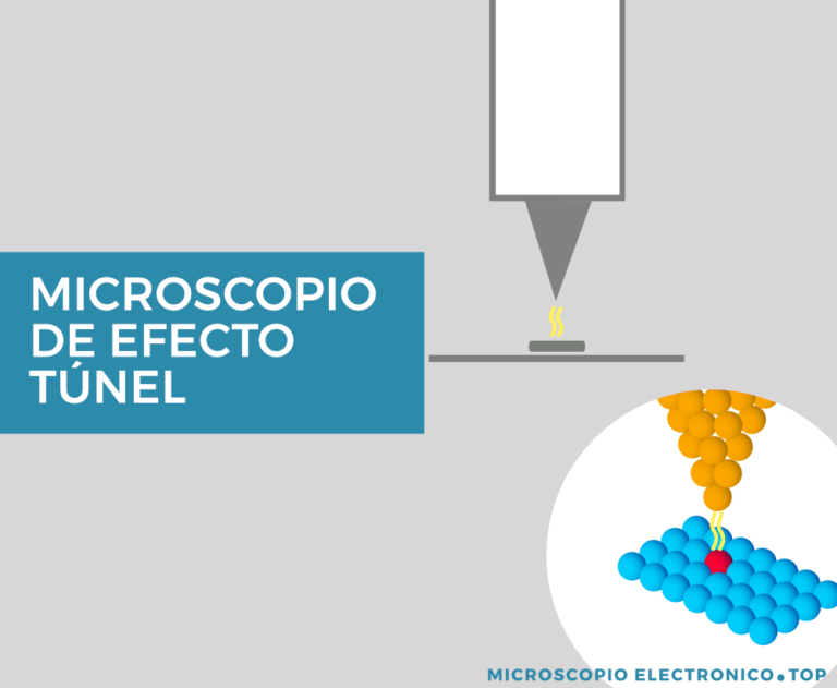 MICROSCOPIO DE EFECTO TÚNEL | Web de Microscopios